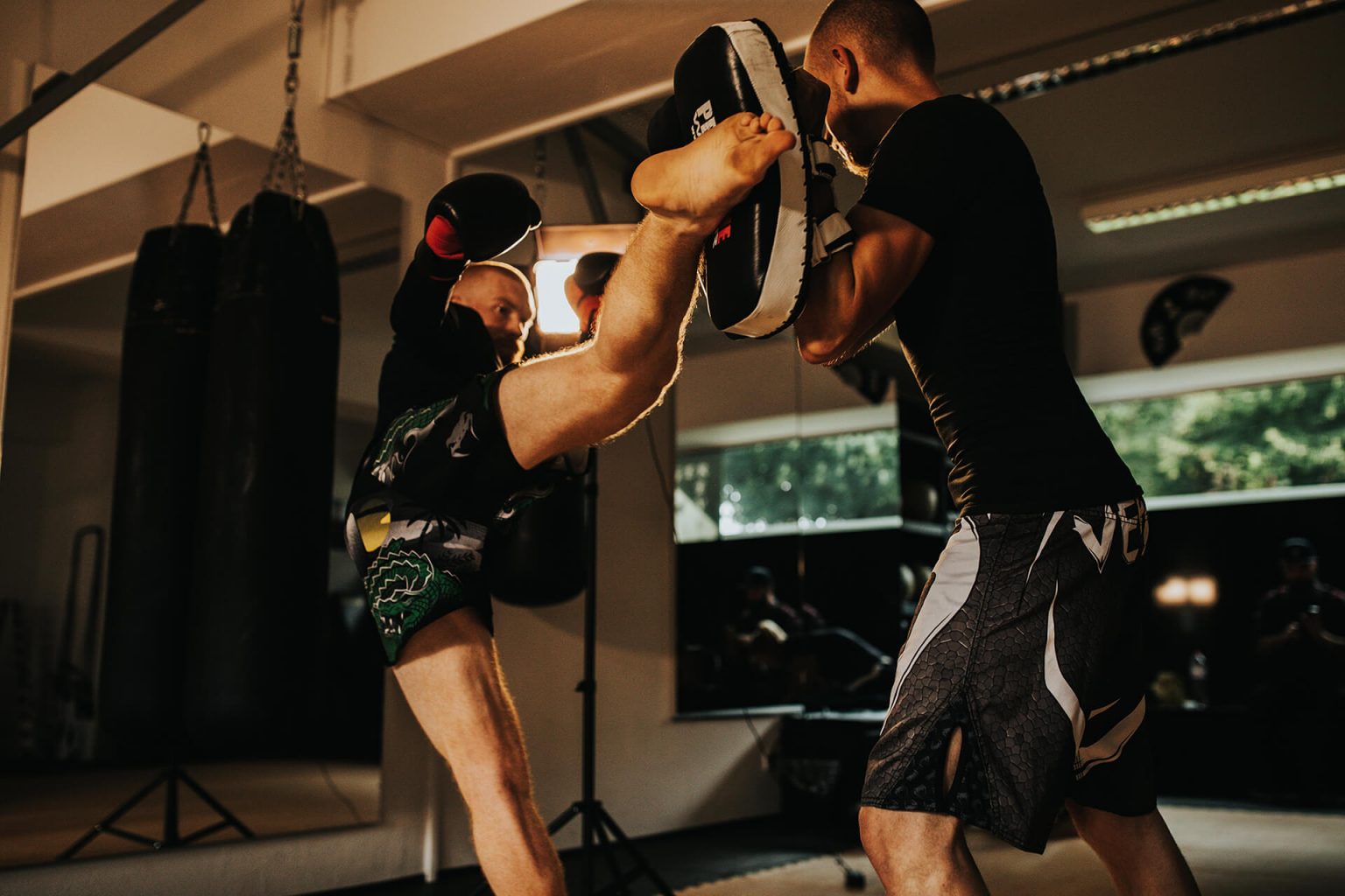 Kurse - White Tiger Revolution